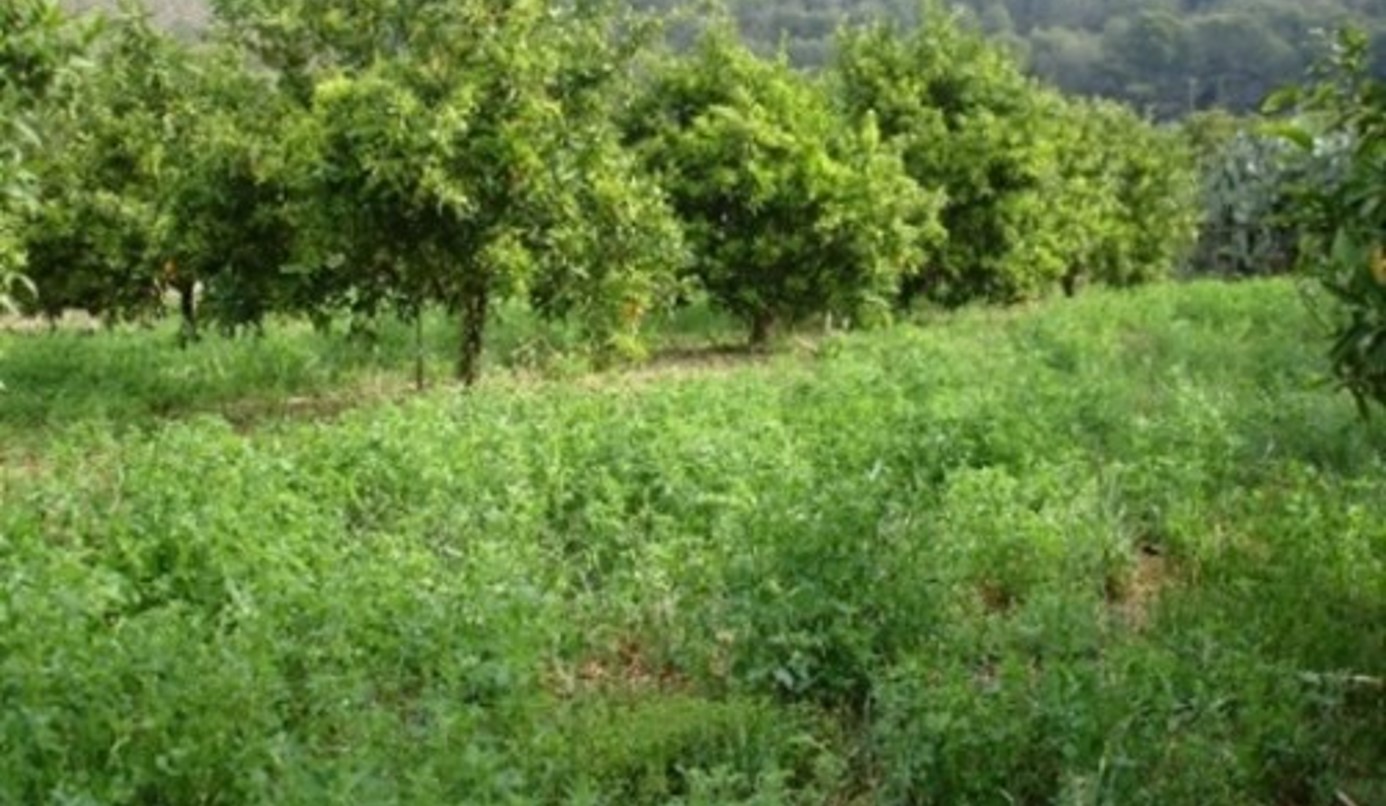 CITURS-PA-94-ES | Naturland Academy