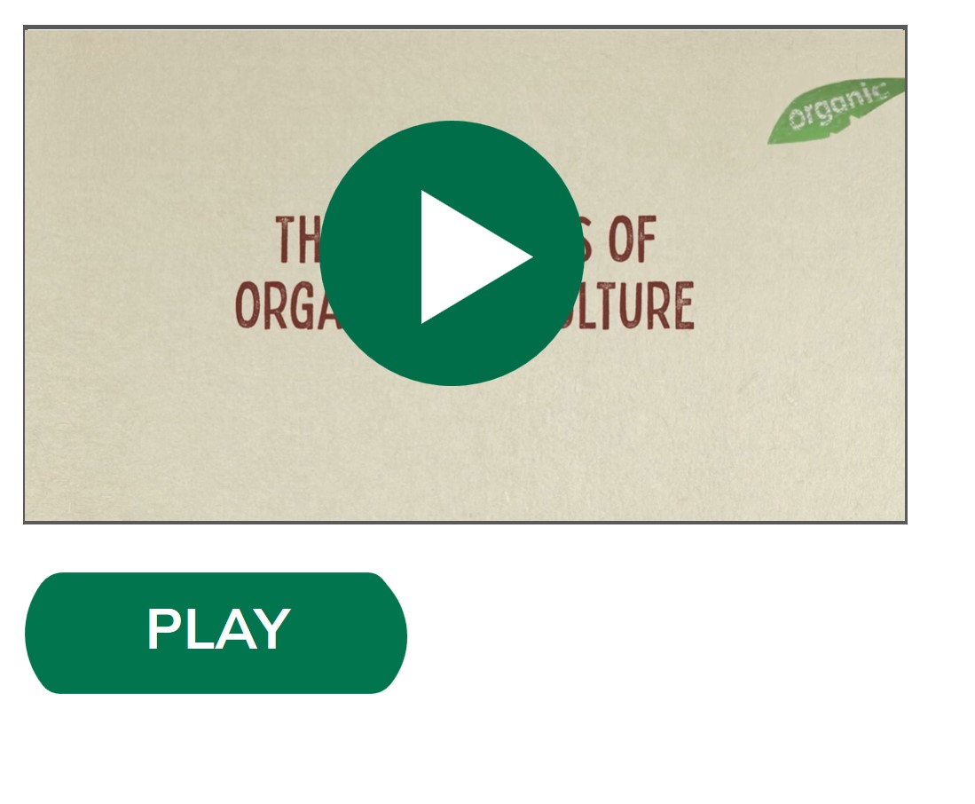 VI-Organic principles: Video on the principles of organic agriculture ...