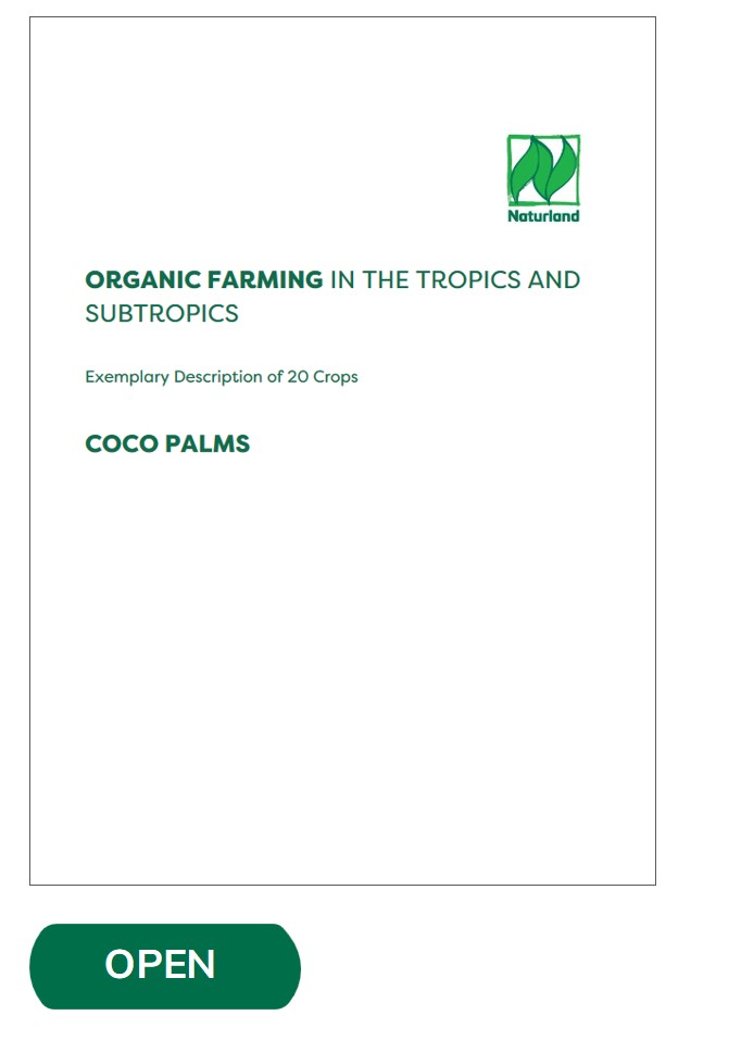 PDF-Coco palm: Cultivation Guide on organic Coco production | Naturland ...