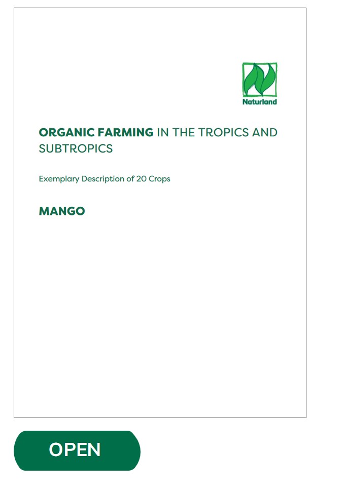 PDF-Mango: Cultivation Guide on organic Mango production | Naturland ...