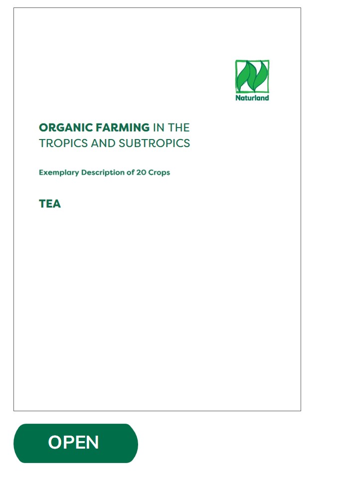 PDF-Tea: Cultivation Guide on organic Tea production | Naturland Academy